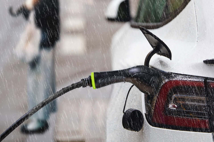 SYNCWIRE Official Store - Syncwire