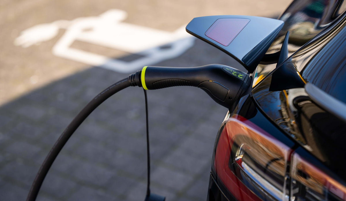 SYNCWIRE Official Store - Syncwire